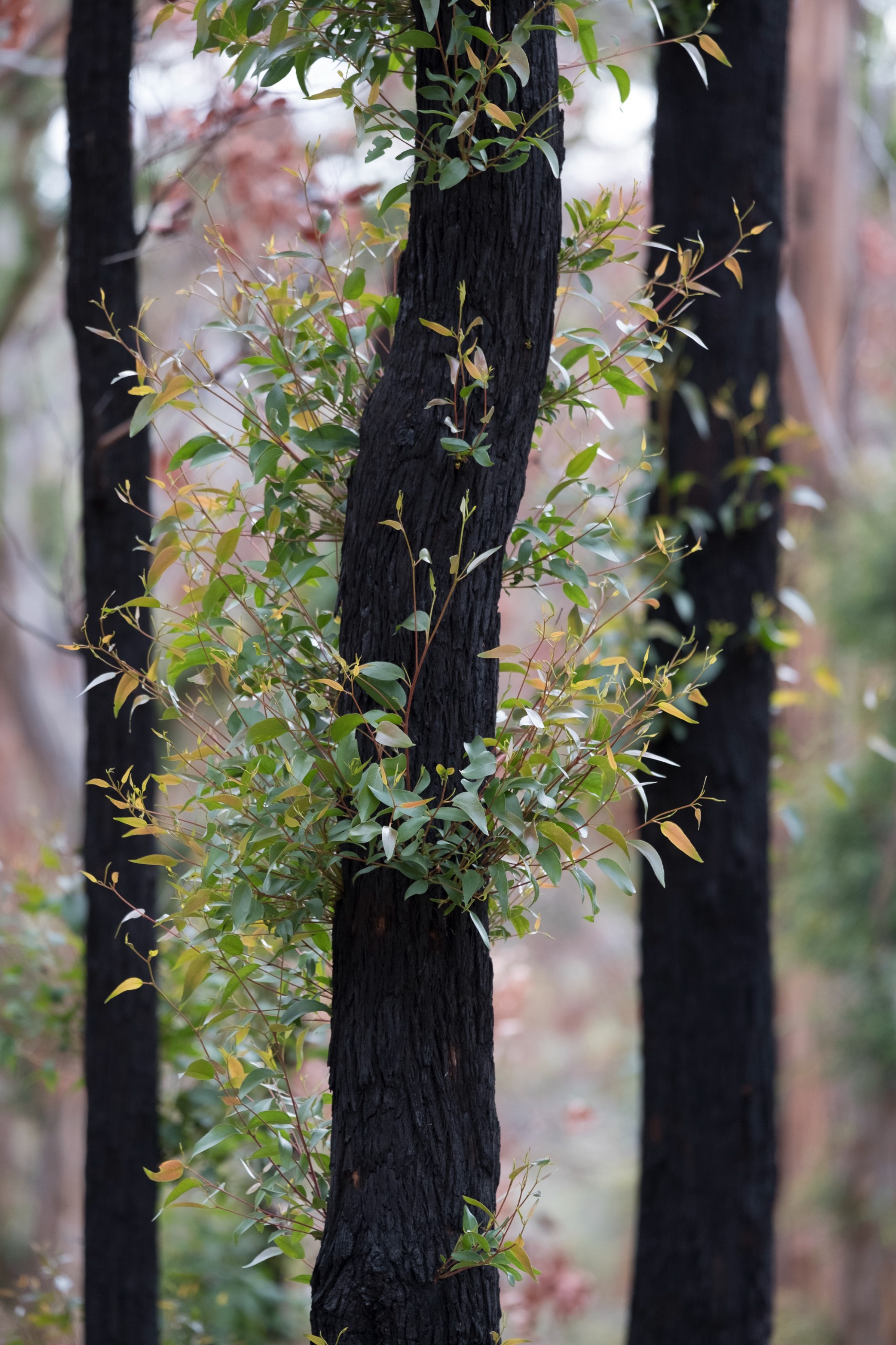 Take the survey | Climate Change Act Review 2024-25 | Engage with the ...